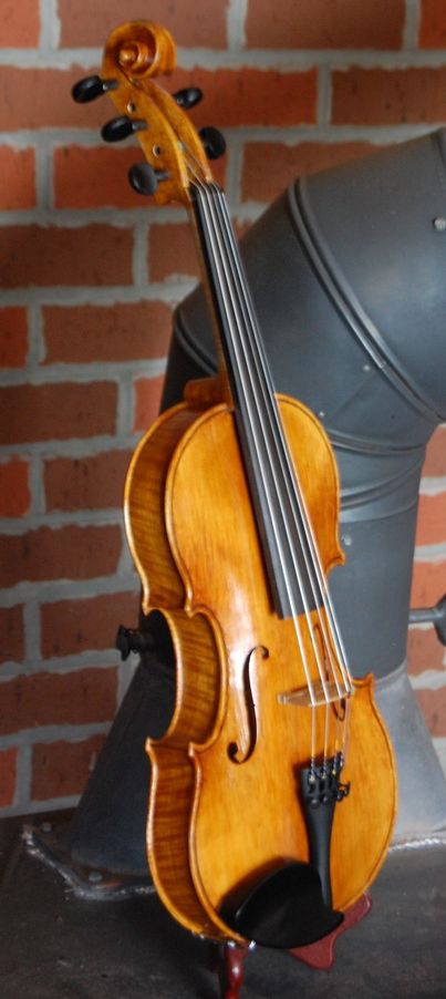 5 string violin | Five String Fiddles